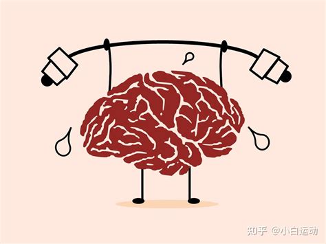 长期运动对我们的身体有多大改变 知乎