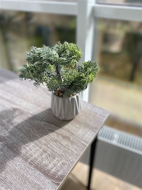 Bohdan Vorona On Linkedin Offline