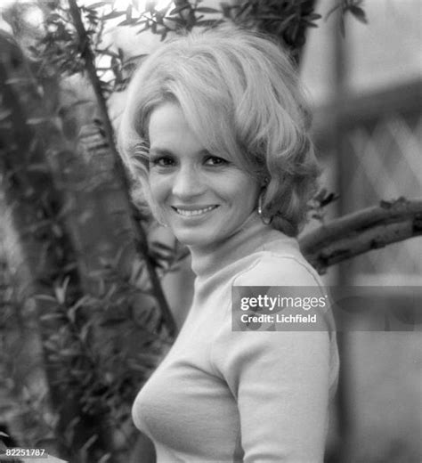 3400 Angie Dickinson Photos And High Res Pictures Getty Images