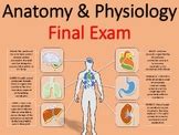 Anatomy And Physiology Final Exam And Answer Key By 21st Century Science