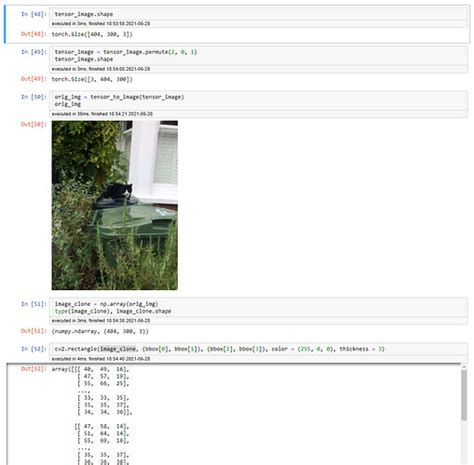 Cv2rectangle Is Not Working On Images Which Are Converted From Tensor