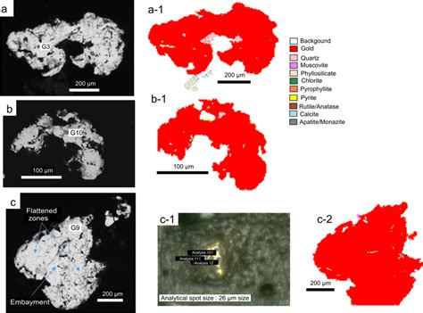 scanning electron microscope sem images automated electron beam