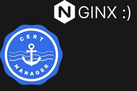dive cert manager — part1— nginx ingress 인증서 적용 by gyeongseon medium