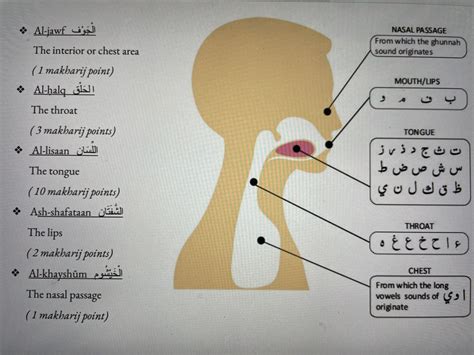 Lesson 1 Tajweed Notes Objective To Recite Quran Correctly Quran