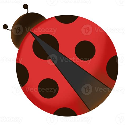 Ladybug Clip Art 43349177 Png