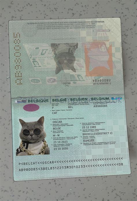 Belgium Passport Template Perfect Templates The Biggest Selection