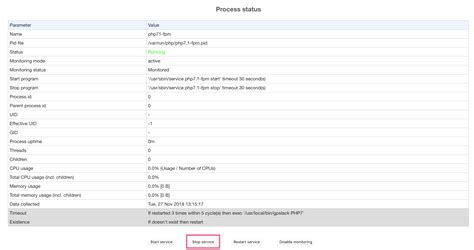 Using The Gridpane Monit Stats And Service Manager Gridpane