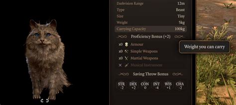 Stronk Kitty 🖤 Rbaldursgate3