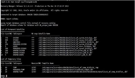 Oracle Database 12c Uma Introdução Aos Conceitos De Backup