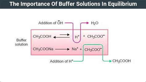 buffer solutions in equilibrium types of buffer solution chemistry
