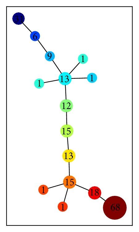 Mapper Visualization Of Clusters In The Neural Network For The Download Scientific Diagram