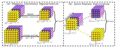 selfreg unet：解决unet语义损失，增强特征一致性与减少冗余的优化模型 selfreg unet self