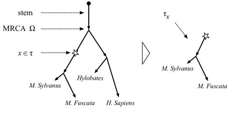 1 Notation Used For Describing The PSCP Download Scientific Diagram