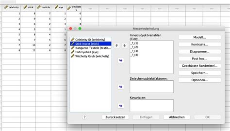 Spss Outputs Interpretieren Teil 5 Varianzanalyse Mit Messwiederholung