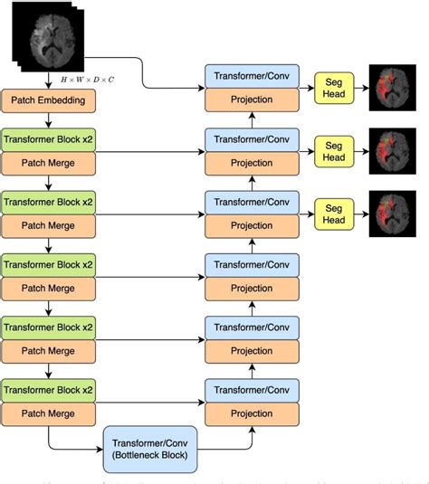 Figure 7 From A Recent Survey Of Vision Transformers For Medical Image