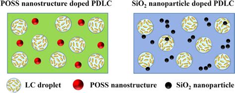 Schematic Diagram To Illustrate The Distribution Of Silicon Download Scientific Diagram