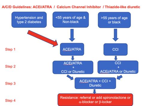 HTN Flashcards Quizlet