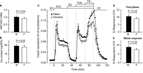 Influence Of Donor Sex On Insulin Secretion By Isolated Human Islets Download Scientific
