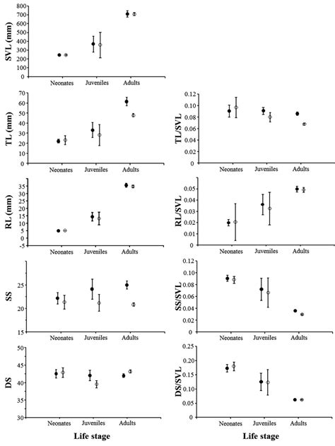 Morphological Characteristics For Male And Females At Each Life Stage Download Scientific