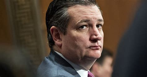 Texas Senator Ted Cruz Twitter Likes Porn Video