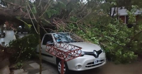 Cómo Quedó Bahía Blanca Tras El Temporal árboles Derribados Vidrios Estallados Y Una Ciudad De