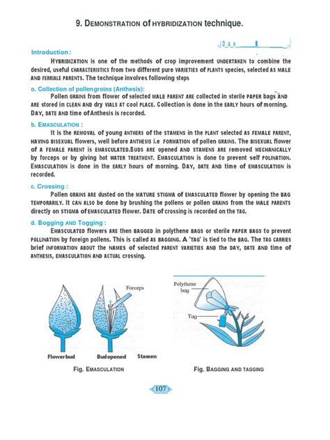 Hybridization Technique Pdf Flowers Hybrid Biology