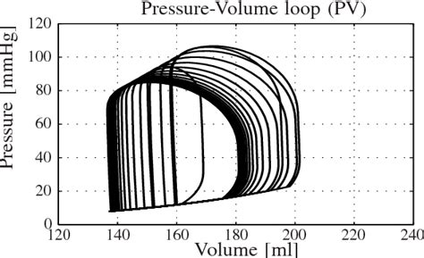Figure 2 From An Updated Cardiovascular Simulation Toolbox Semantic Scholar