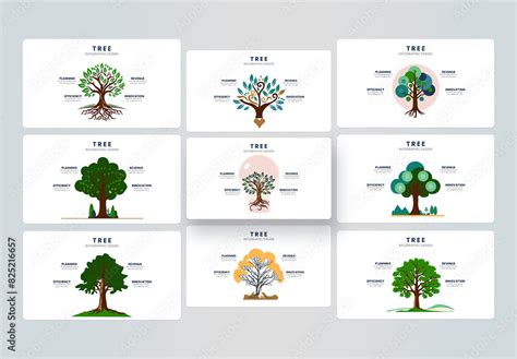 Tree Infographic Presentation Layout Stock Template Adobe Stock