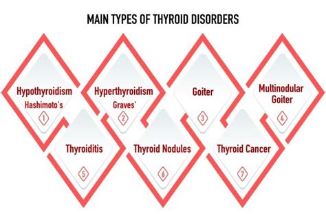 Thyroid Health 101 Thyroid Functions And Tests Rousia