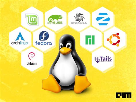 Kernel In Linux Operating System By Programmer Medium