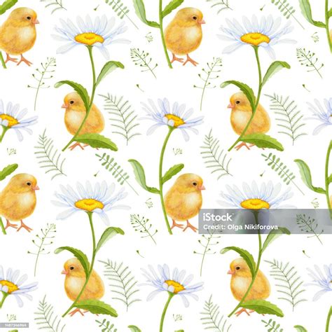 흰색 배경에 꽃과 카모마일 잎으로 둘러싸인 작은 닭이 있는 매끄러운 배경 구도에 대한 스톡 벡터 아트 및 기타 이미지 구도