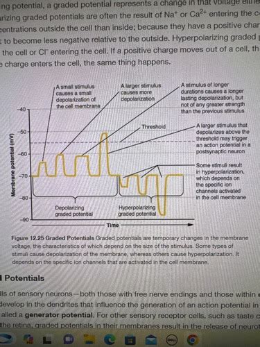 Aandp 4 Cheat Sheet Review Flashcards Quizlet