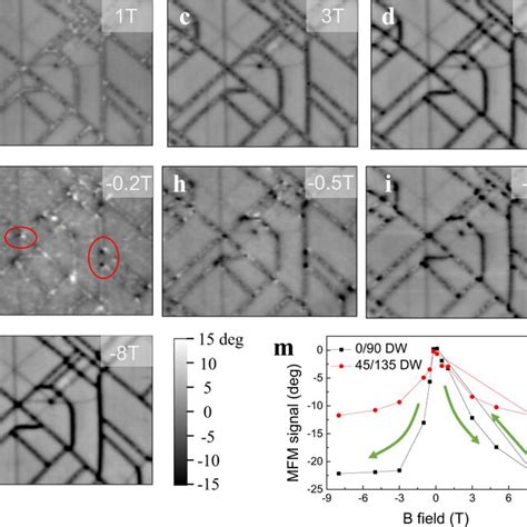 Scanning Microwave Impedance Microscopy Smim Characterization Of Download Scientific Diagram