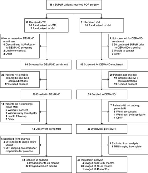 Participants Flow Of The Defining Mechanisms Of Anterior Vaginal Wall Download Scientific