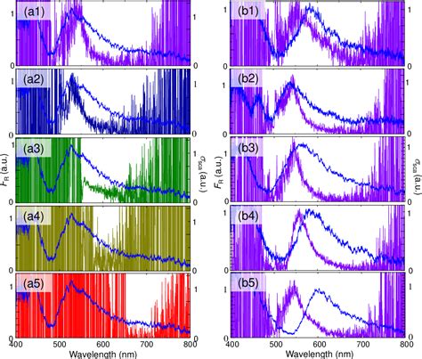 Figure 1 From Electromagnetic Enhancement Spectra Of One Dimensional Plasmonic Hotspots Along