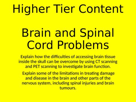 Edexcel Sb2 Brain And Spinal Cord Problems Complete Lesson Gcse Biology Teaching Resources