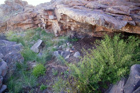 Чойрын богд ууланд Аргалийн хэвтэр Mongolian Countryside Flickr