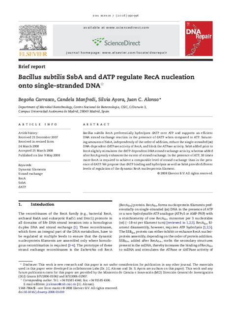 Pdf Bacillus Subtilis Ssba And Datp Regulate Reca Nucleation Onto