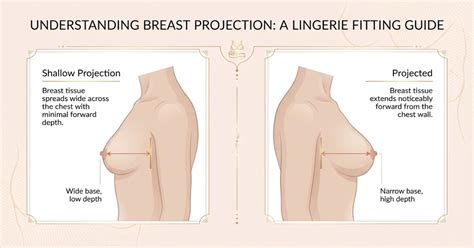 Projection Depth Analyzer Find Your Cup Depth And Bra Shape 2026