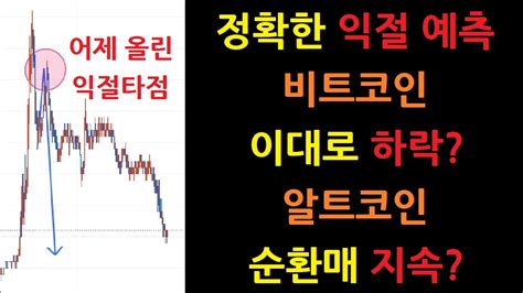비트코인 당분간 이렇게 움직입니다 알트코인 순환매 지속여부는 Youtube