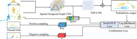 Overview Of Our Proposed Method Observed Pedestrian Trajectories Are