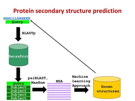 Ppt Protein Secondary Structure Prediction Powerpoint Presentation