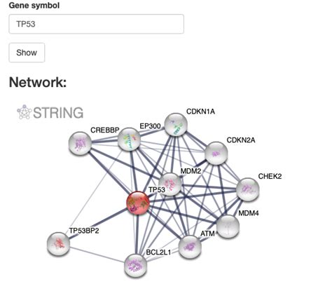 Javascript String Interactive Network In Shiny In R Stack Overflow