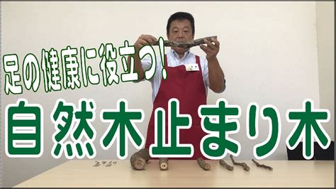 こんぱまるTVこんぱまるオリジナル 自然木止まり木 YouTube