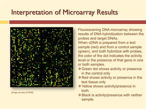 DNA Microarray Presentation Dna Fingerprinting Dna Biotechnology PDF Genetics Science