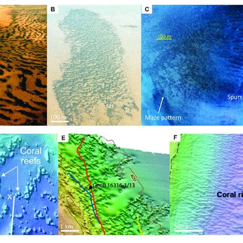 Spatial Patterns In Natural Systems A Arid Vegetation Forming Download Scientific Diagram