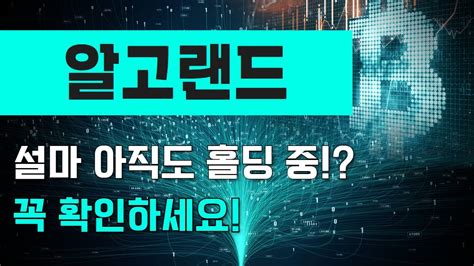 알고랜드 설마 아직도 홀딩 중 꼭 확인하세요 알고랜드 알고랜드코인 알고랜드코인차트분석 알고랜드목표가 알고랜드