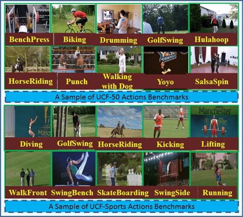 Video Datasets For Action Localization Ucf50 And Ucf Sports Download
