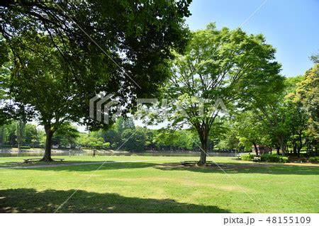 茨城県つくば市 洞峰公園 materials digitalstage