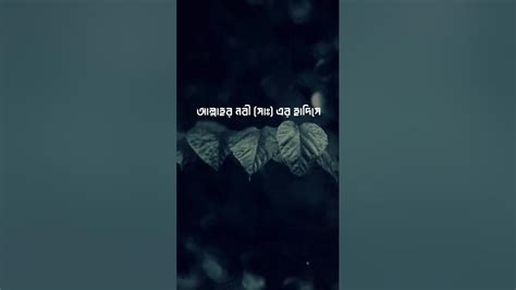 কেউ যদি সূরা ইখলাস ১০ বার পাট করে এর ফজিলত শুনলে অবাক হবেন 🤲😲 Islamicshorts Sabr